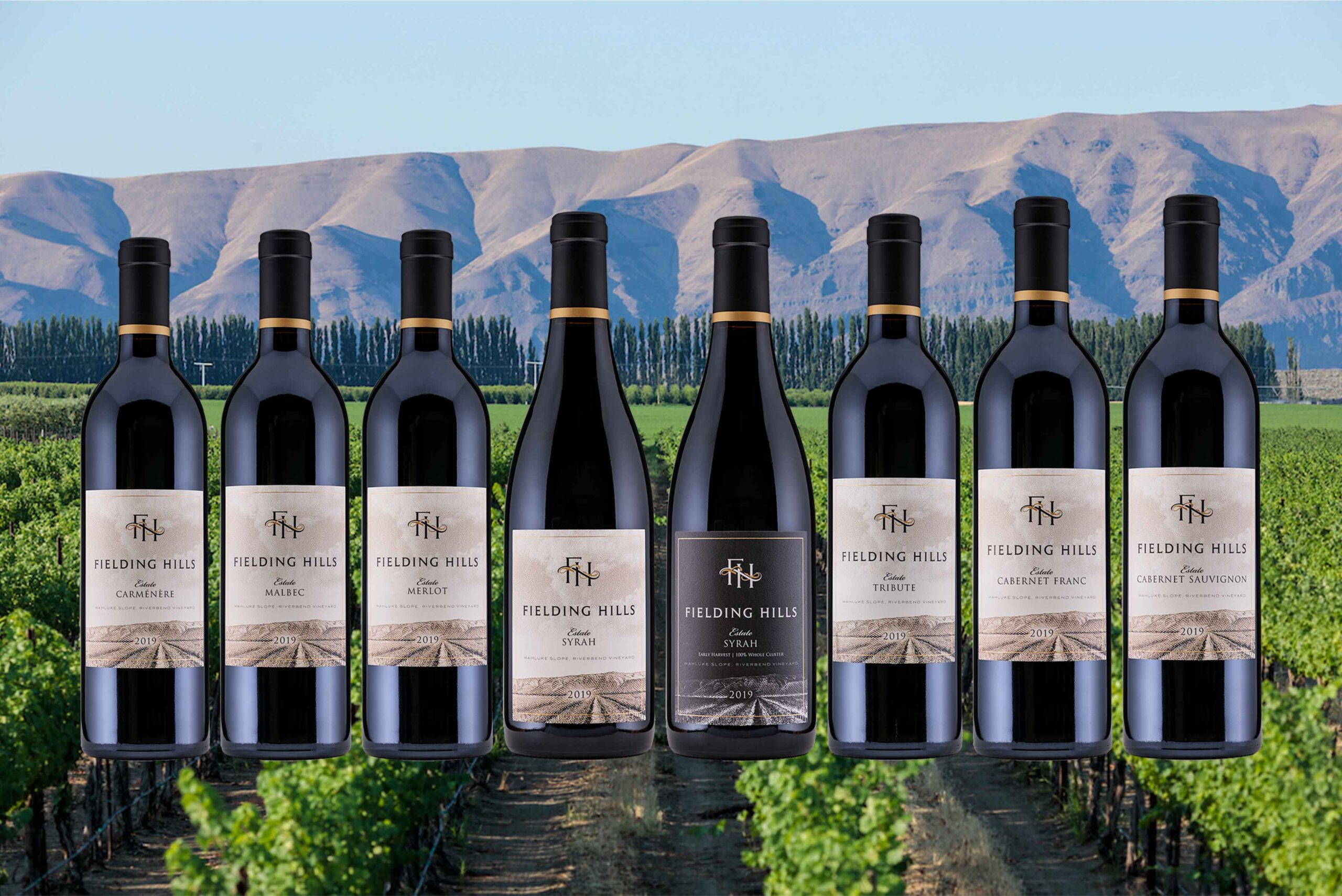 2019 Vintage Ratings - Fielding Hills Winery